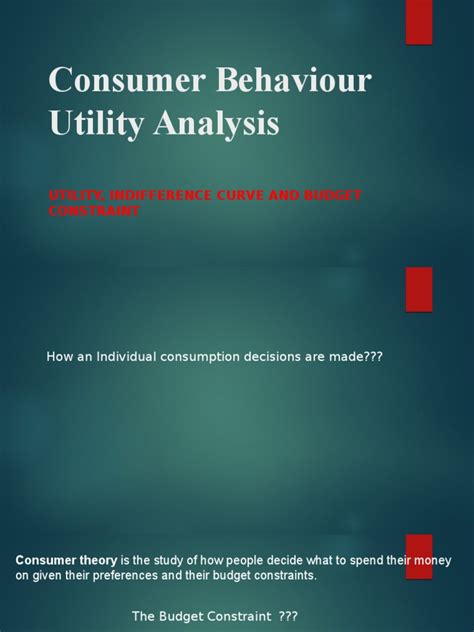 Nsumer Behaviour Utility Analysis Pdf Utility Scientific Theories