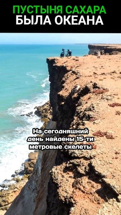 Пустыня Сахара — Океан - YouTube