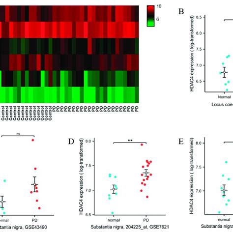 Hdac4 Was Highly Expressed In Pd Brain Tissues A Gene Expression Download Scientific Diagram