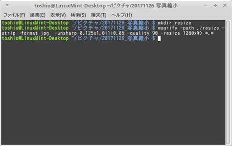 ImageMagickで画像を一括縮小 リサイズする方法 TOSHIO WEB