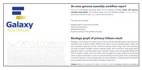 Genome Assembly Genome Assembly With `hifiasm` On Galaxy Australia