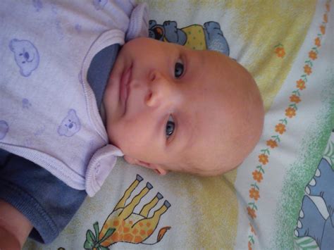 Druhy Mesic Dendusci Album Album On Rajče