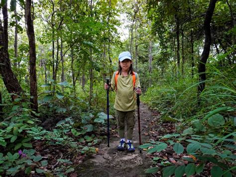 Asian Girl Hiking With Backpack In Rainy Season And Walking Stick Stock