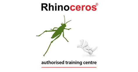 Grasshopper Level 2 Course