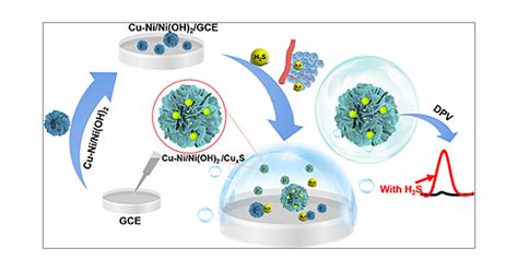 Electrocatalytic Induced Electrochemical Sensor Based On The