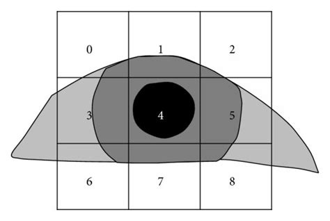example of subblock based matching for pupil detection download
