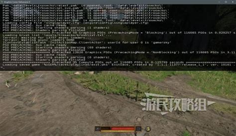 《天国拯救2》控制台打不开解决方法 控制台打不开怎么办