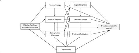 A Simplified Causal Diagram Depicting The Role Of Mediating Factors Download Scientific Diagram