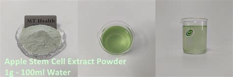 Apple Stem Cell Extract China Water Soluble Powder Extract Powder Tea Extract Powder
