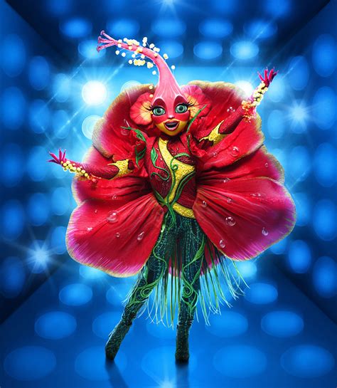 Photos The Masked Singer Season 10 Costumes