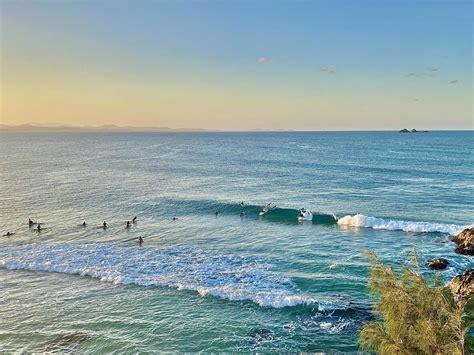 Surfen Mit Python Australier Muss Strafe Zahlen