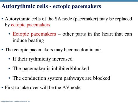 Ppt Cardiovascular System Components Powerpoint Presentation Free