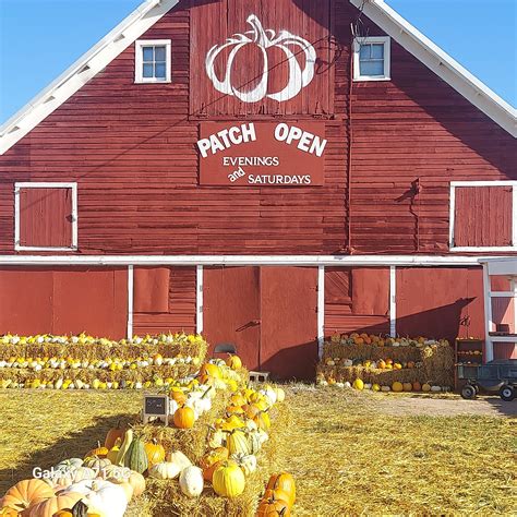Haskells Pumpkin Patch