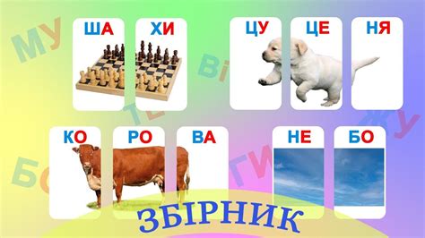 Visit