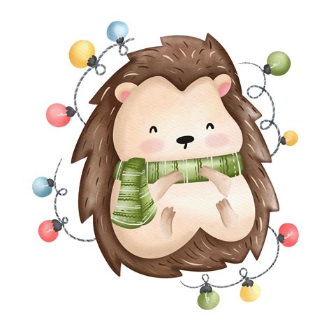 Cute Hedgehog With Christmas Light Decoration Watercolor Christmas