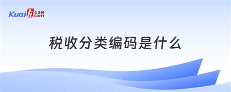 税收分类编码是什么 会计网