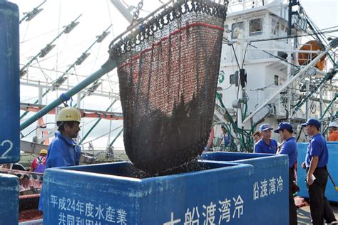 Web東海新報｜被害の全容まだ見えず、台風10号 漁業に打撃／気仙両市（別写真あり）