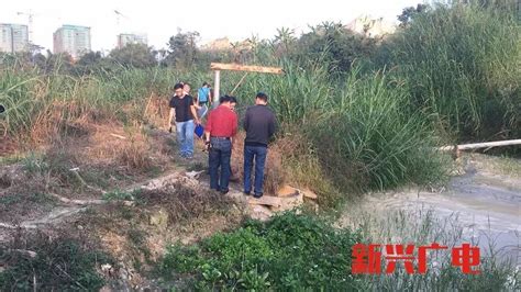 严重污染新兴江水质新兴两家非法洗沙场被强制拆除 新兴资讯 21CCNN Powered by Discuz