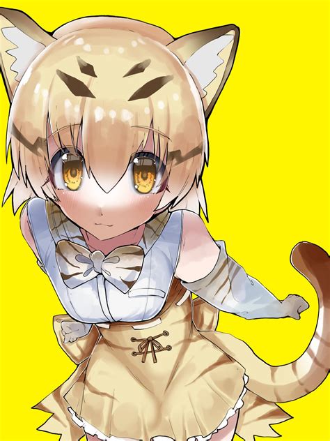 Sand Cat Comes Closer R Kemonofriends