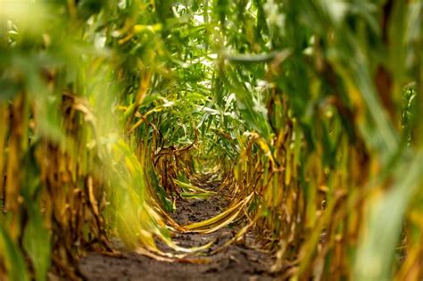 Mike Sonen Posted On Linkedin