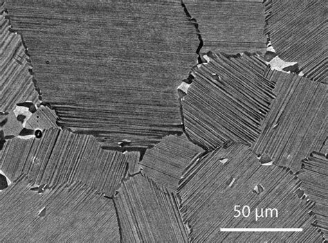Sem Image And Schematic Representation Of Lamellar 2 Colonies