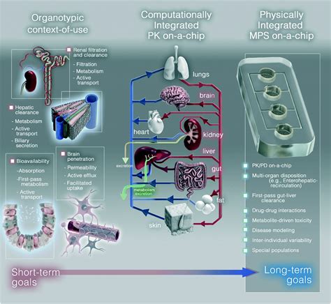 Adme Process