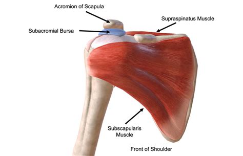 Shoulder Impingement Diagnosis