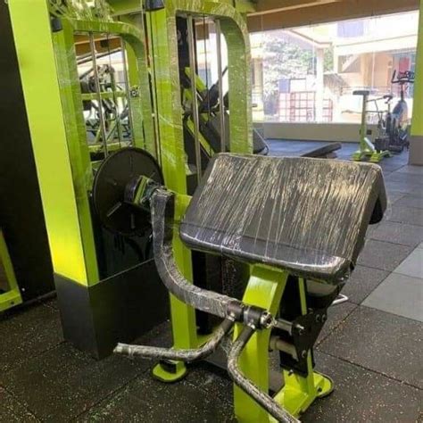 Arm Curl Gym Machine At ₹ 28000 Preacher Curl Machine In Jalandhar