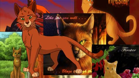 100 Warrior Cats Wallpapers