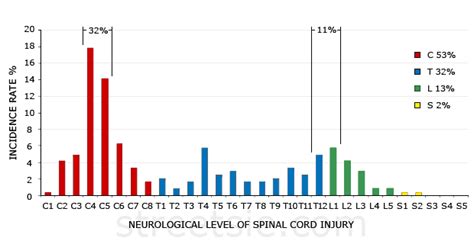 Neurological Level Wheelchair Lifestyles