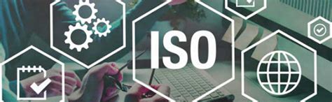 ISO Consulting Mina Service S R L