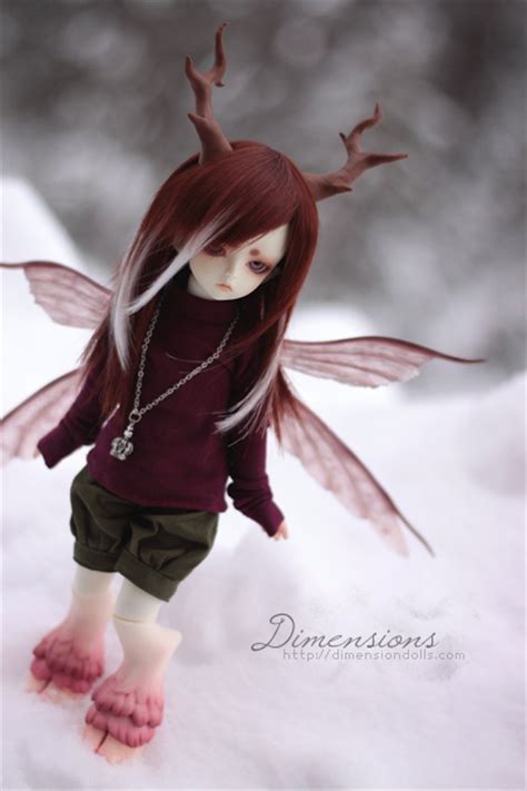 Ball Joint Doll Ball Joint Dolls Photo 21362005 Fanpop
