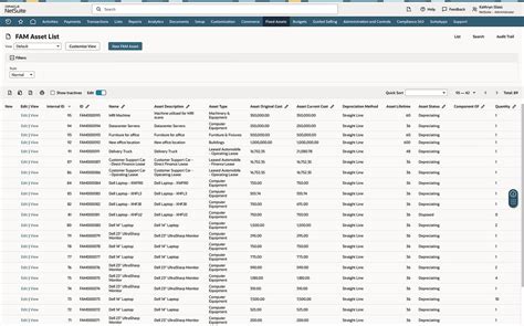 Netsuite Fixed Assets Management Software