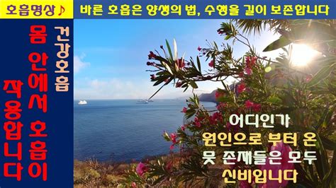 몸 안에서 호흡이 작용합니다 건강호흡 ㅣ마음공부 호흡 명상 단전호흡 건강 풍요 성품 알아차림 시크릿 끌어당김ㅣ