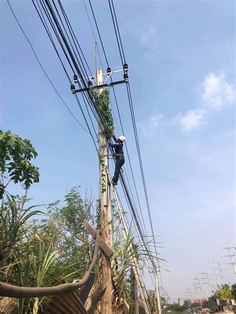 អគ្គិសនី សៀមរាប សកម្មភាពក្រុមថែទាំបណ្តាញlvរបស់អគ្គិសនីសៀមរាប