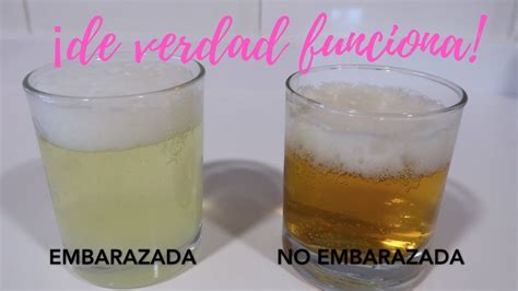 Prueba De Embarazo Con Cloro Positiva Y Negativa Outlet Prginc Net