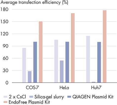 Endofree Plasmid Kits