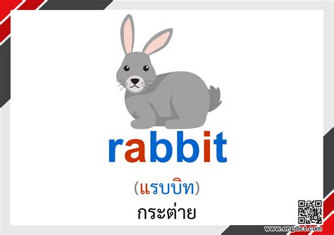 คำศัพท์ภาษาอังกฤษพื้นฐาน ชั้น Engdict เรียนภาษาอังกฤษ