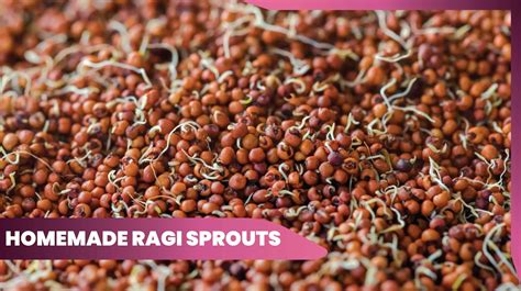 Homemade Sprouted Ragi A Superfood For Health And Well Being Fitness With Nidhi
