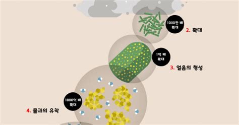 고차원적인 생명들 비를 내리게 하는 박테리아가 있다