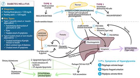 Biochemistry Diabetes Mellitus Ditki Medical And Biological Sciences