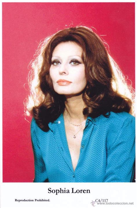 Sophia Loren Film Star Pin Up Publisher Swi Buy Photos And