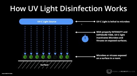 Fundamental Of Uv Light Disinfection Youtube