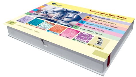 Microscopic Structures Set Of 52 Charts Science Shop