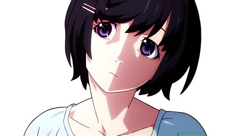 Hanekawa Tsubasa