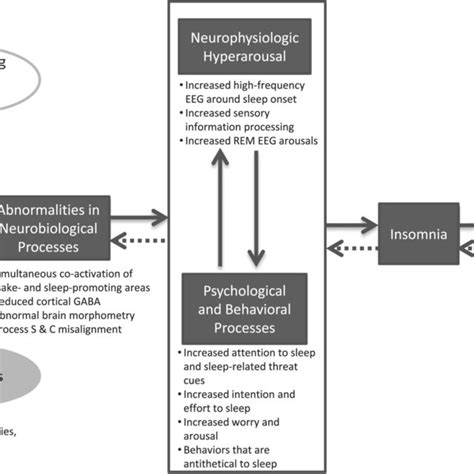 A Model Of The Pathophysiology Of Insomnia According To Levenson And