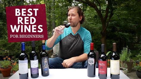 The Best Red Wines For Beginners Series 3 Merlot Youtube