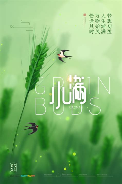 24节气小满素材 24节气小满模板 24节气小满图片免费下载 设图网