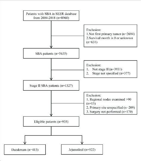 Flowchart Demonstrating The Selection Processes Of Cases From Seer