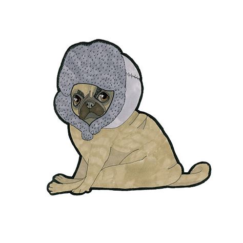50 Grumpy Pug Stock Illustrations Royalty Free Vector Graphics And Clip